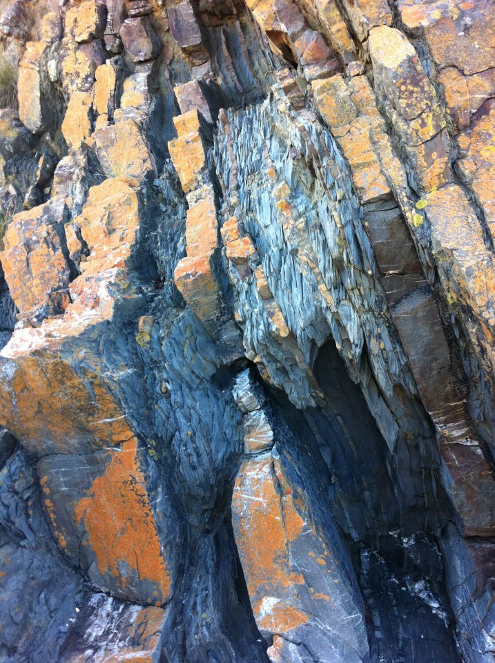 Cape Liptrap and Waratah Bay – Weekend Geology