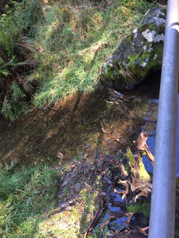 Daylesford Mineral Springs – Weekend Geology