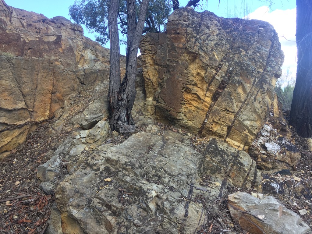 Bendigo Goldfields – Weekend Geology