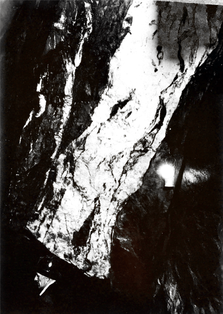 Bendigo Goldfields – Weekend Geology