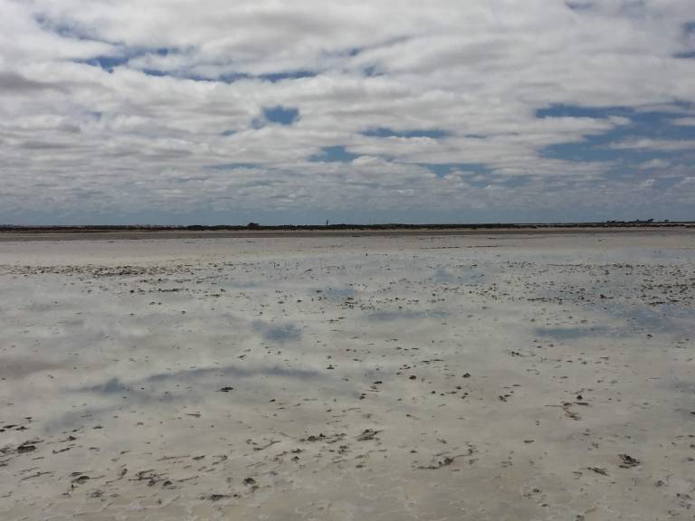 Lake Tyrrell