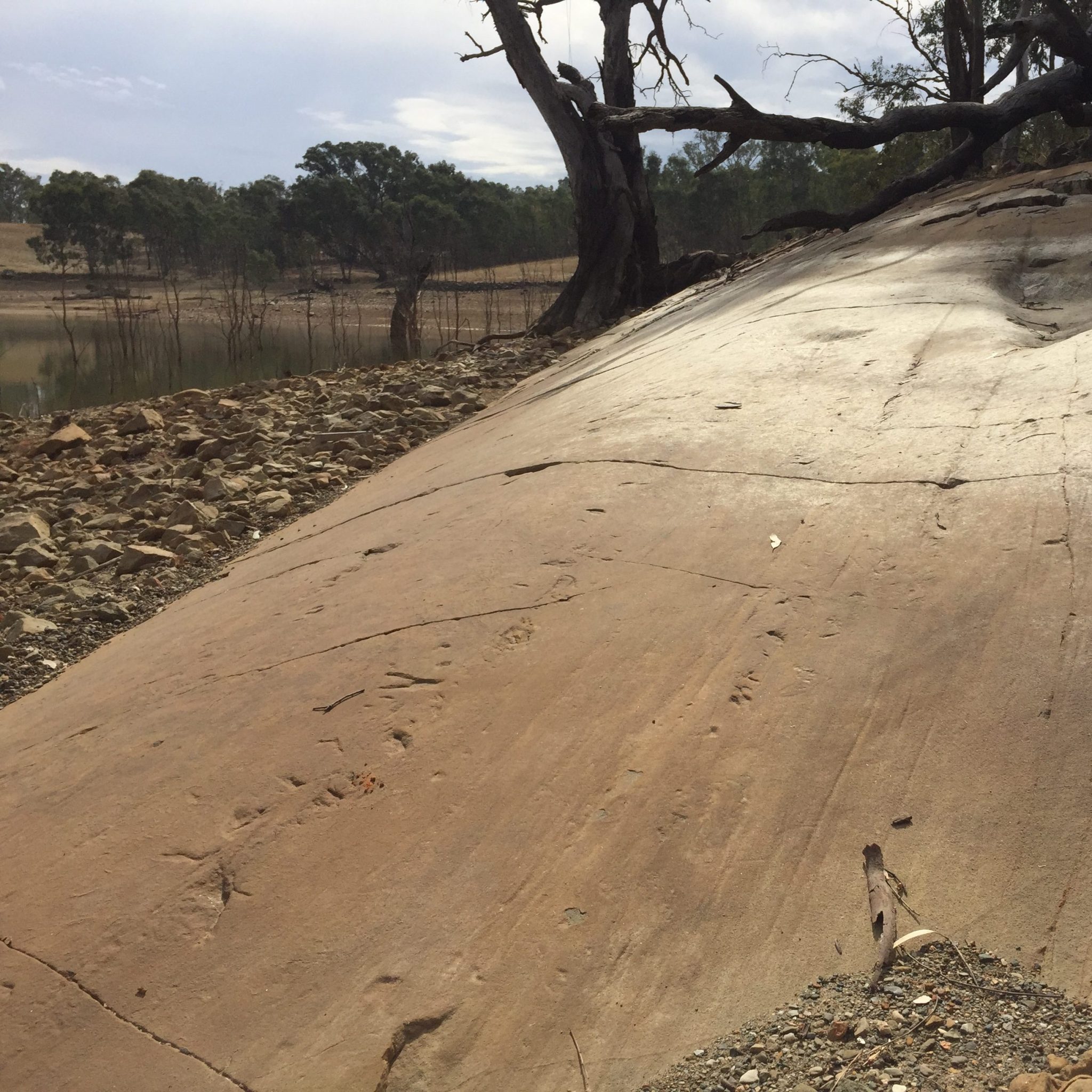 Heathcote and Surrounds